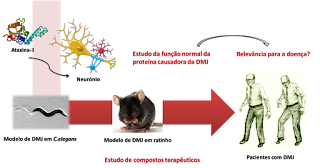 DMJ (Doença de Machado Joseph) Artigo elaborado por Drª Patricia Maciel ...