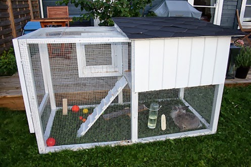 Kandang Kelinci Bagi Penghobi | Gambar Foto Kelinci