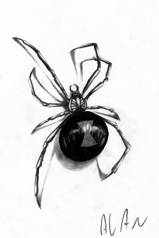 Raphael Aranha Tattoos