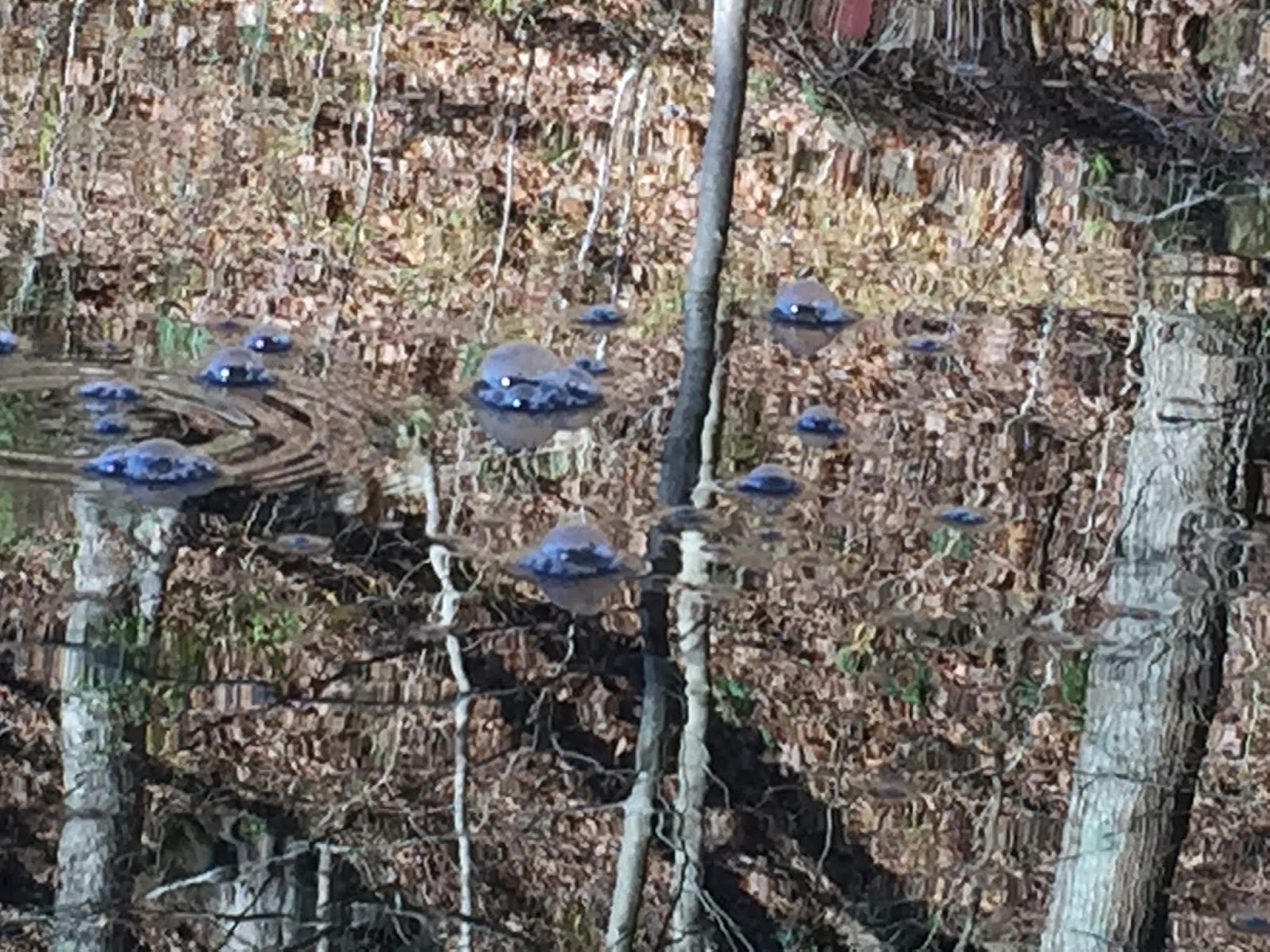 Kayaking Across Ohio: Timbre Ridge Lake: Zenlike Serenity