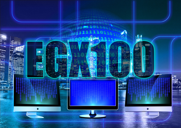 الشركات المدرجة فى مؤشر EGX100 فى 31 يناير 2019