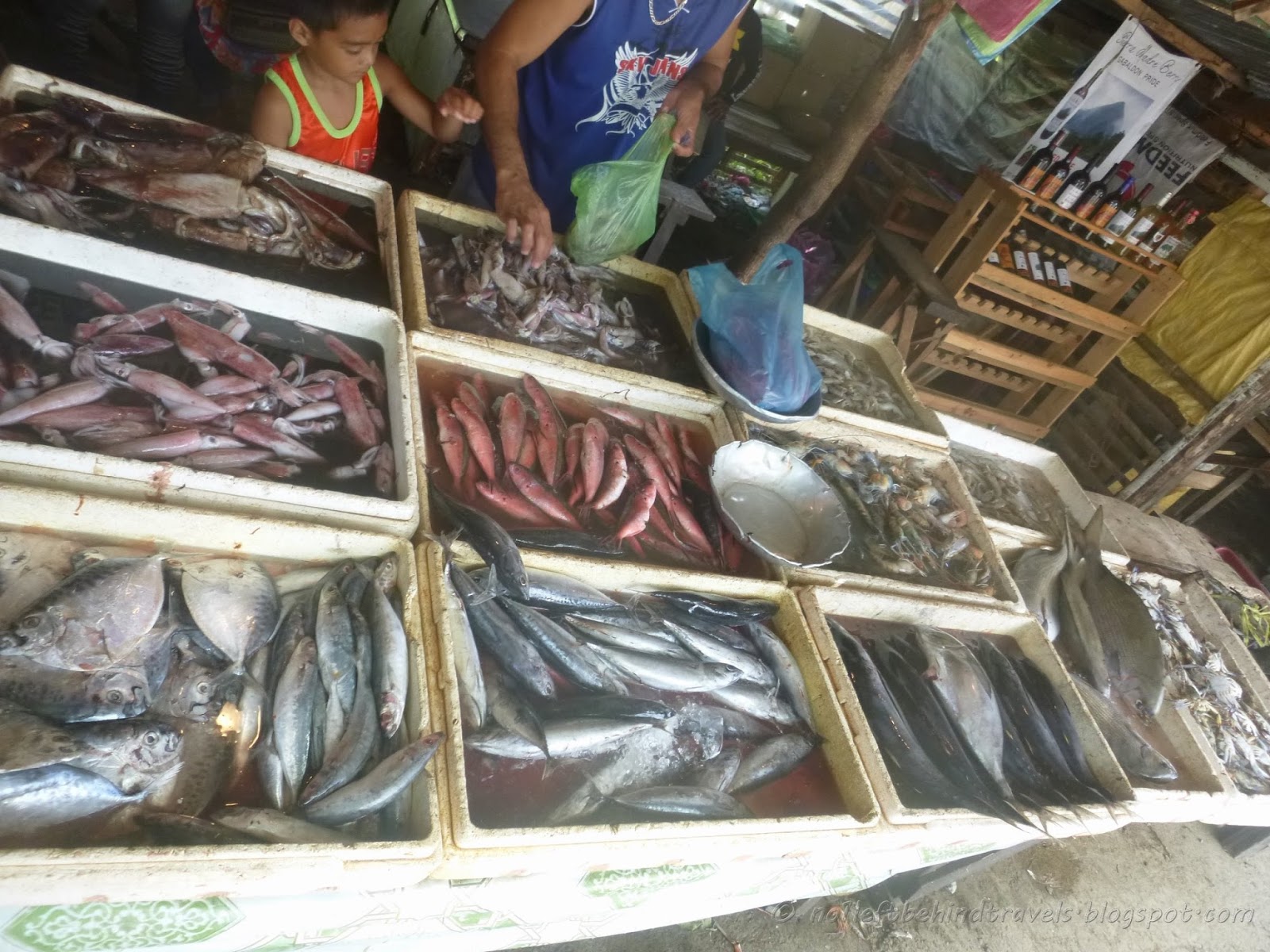 No one left behind: The Dingalan Redemption - Day 2: Matawe Beach