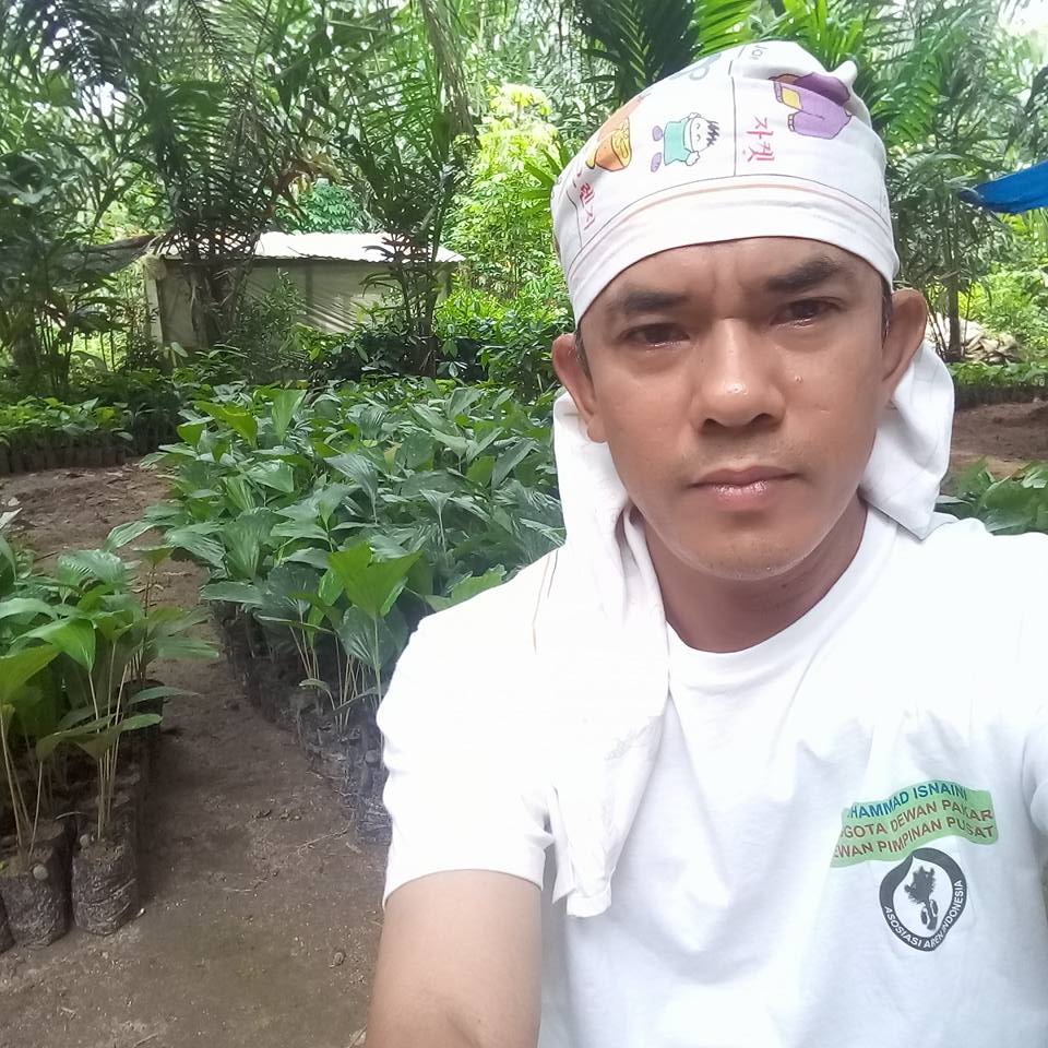 Membangun Pabrik Kelapa Sawit (PKS) Mini