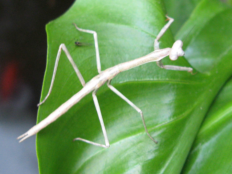 Inspiration by Deseos Design: 2011