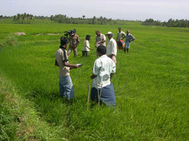 Nature and Farming: Rice Production: Chapter 11 - Pest prevention