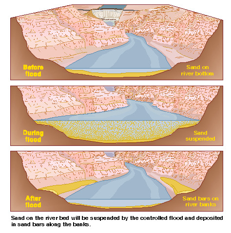 Arizona Geology: Colorado River flooding controversy
