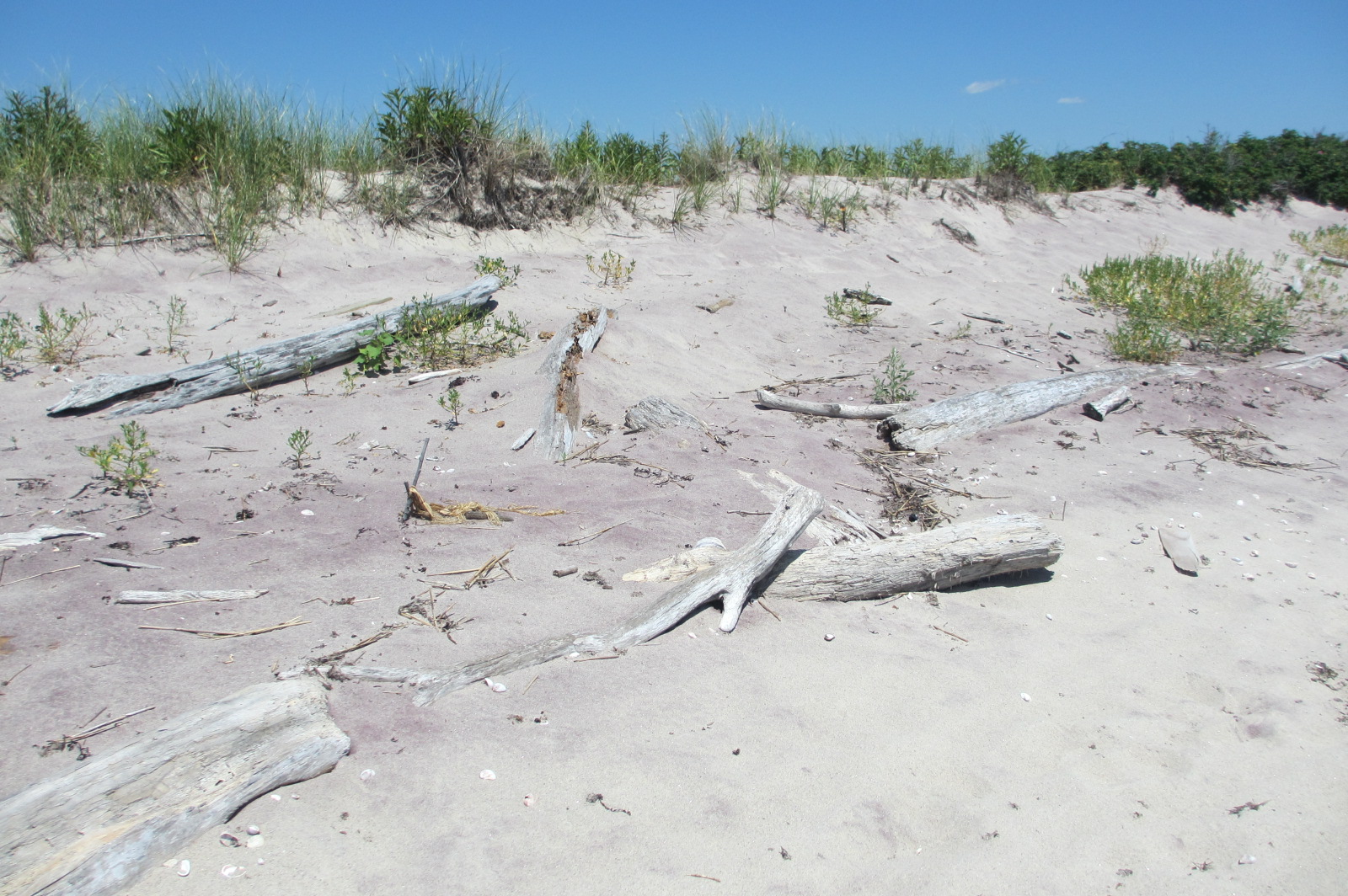 Reluctant Rebel: Connecticut's Well Kept Secret Beach