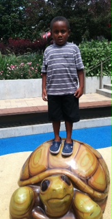 MILES RASHEED XAVIER BERRY: Miles, Miles, Miles of the Jungle.............