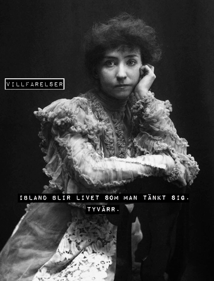 josephzohn | goosevisionen ::..: Dagens Villfarelse