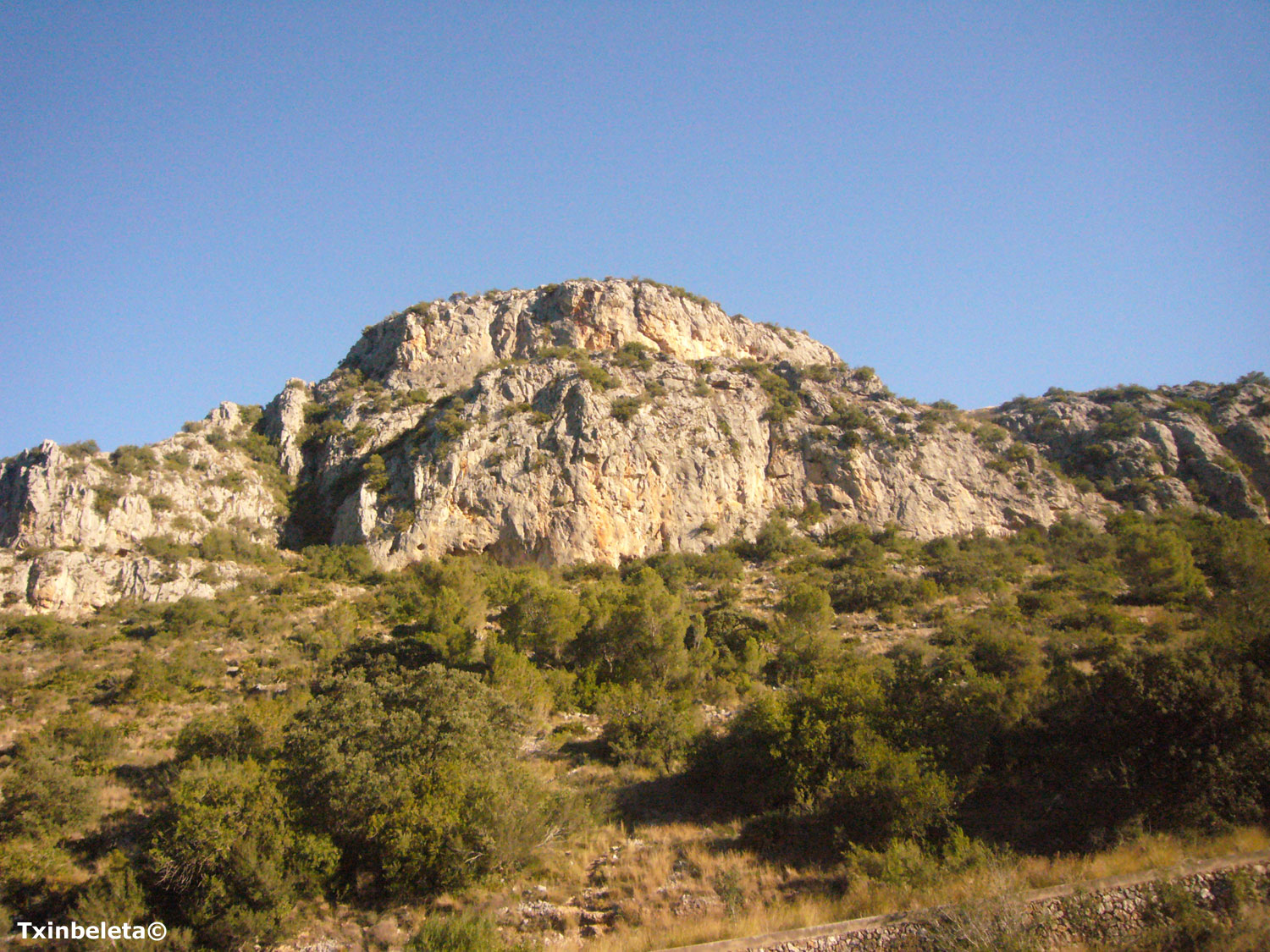 TXINBELETA: La Marxuquera