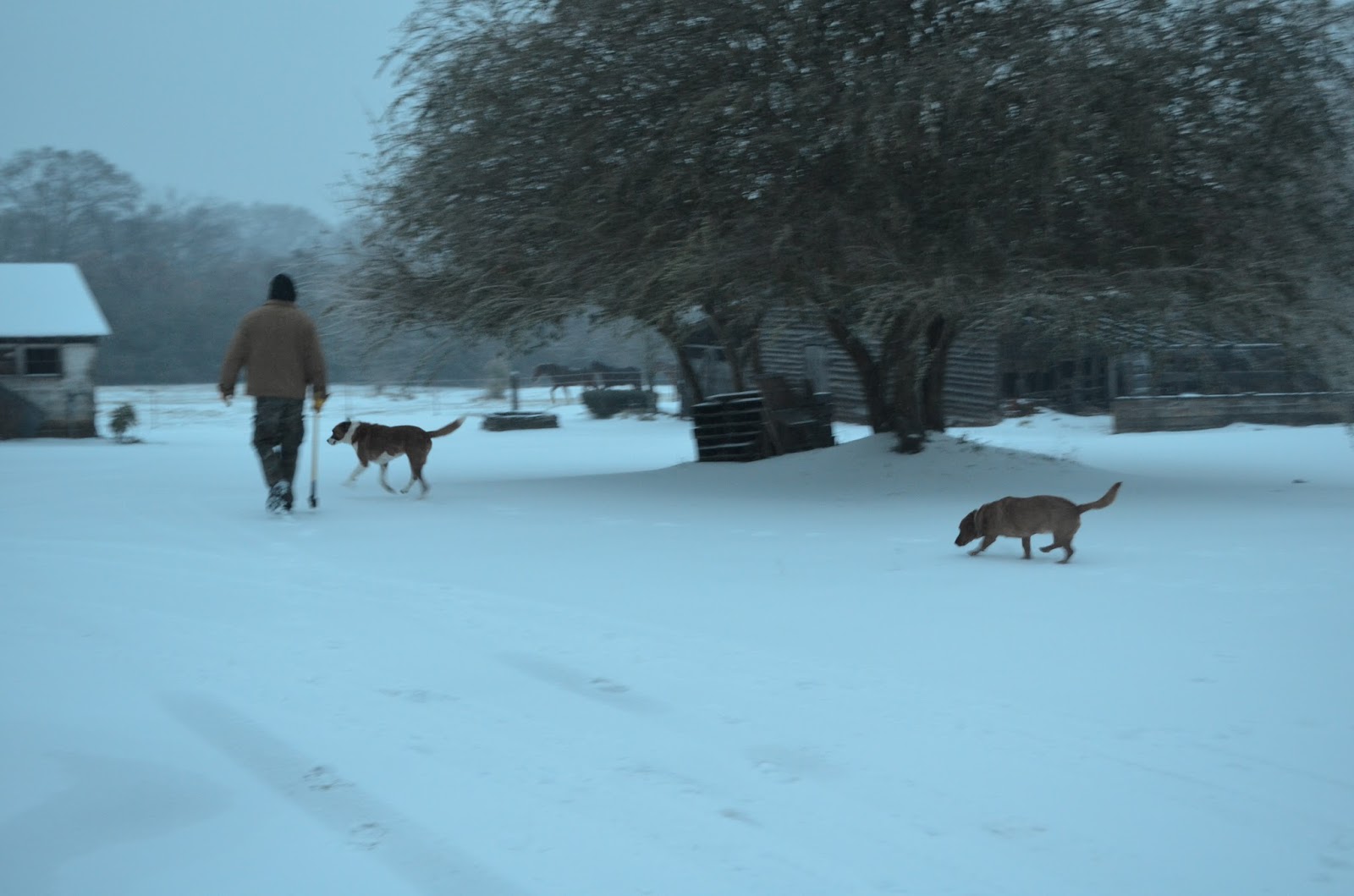 Baseball-Diamonds & Hairspray: Snowpocalypse Feb 2014