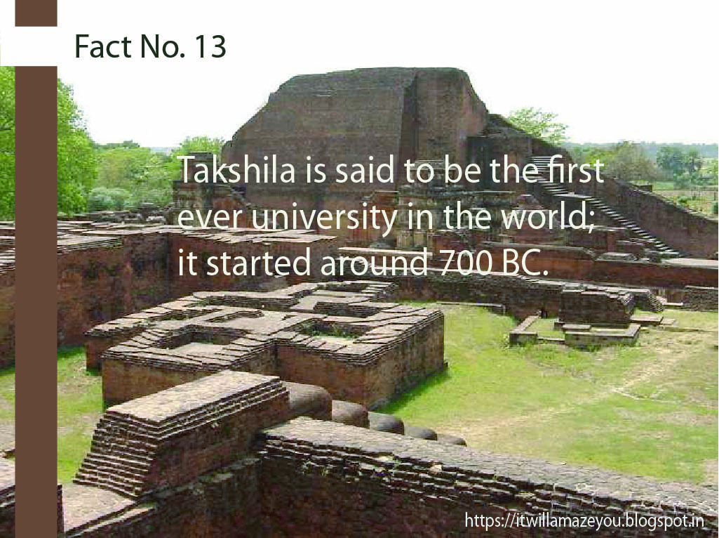 Amazing Facts About Everything