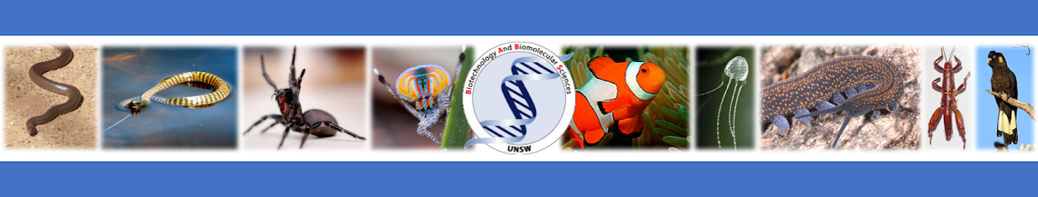 UNSW BABS Genome Project: We're sequencing snakes! (But the competition ...