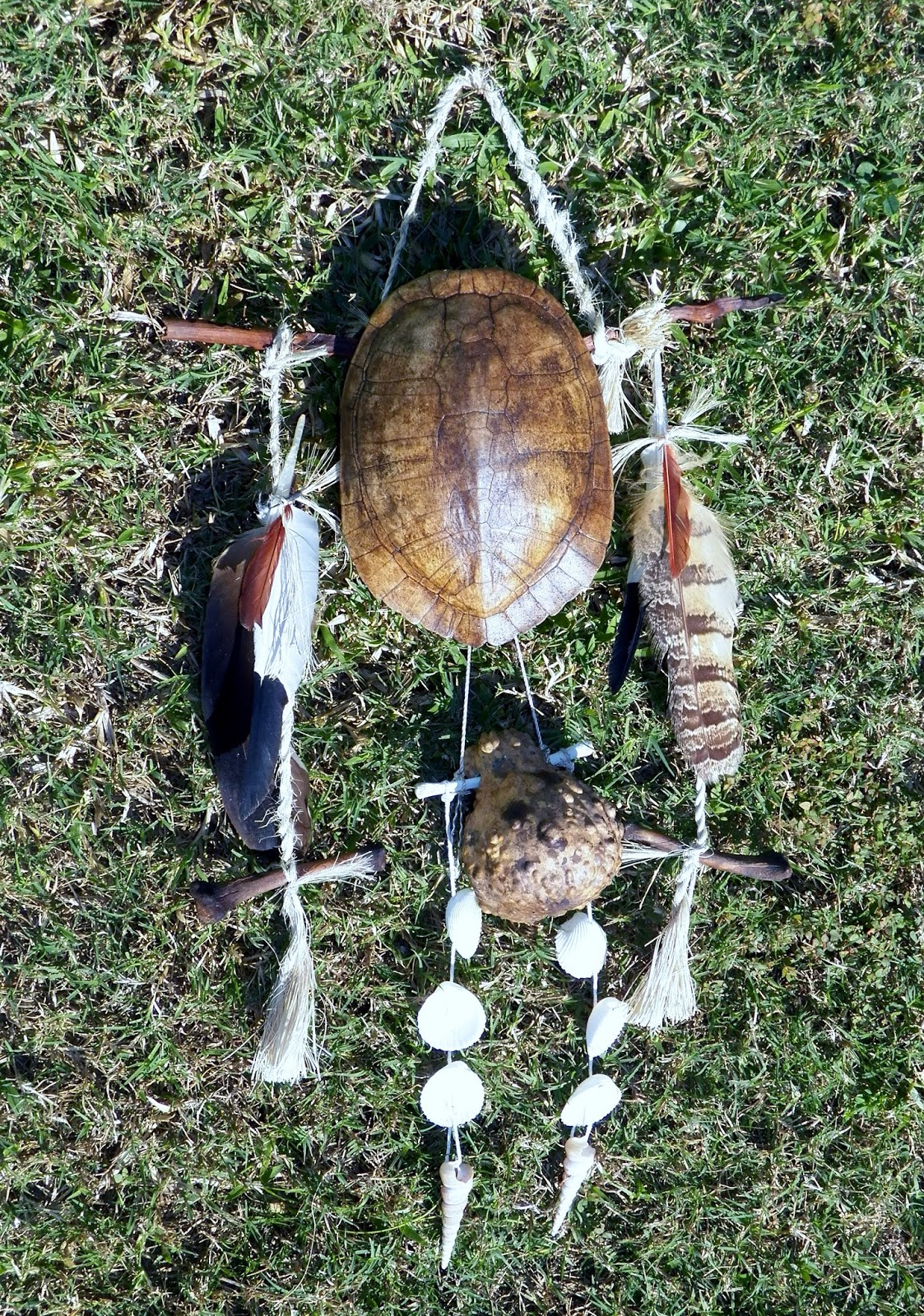 My Backyard: Indian VooDoo Turtle Shell Florida War Wind Chime