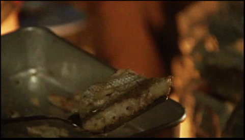The Walking Dead Survival Cooking Blog: Vatos: Fish Fry