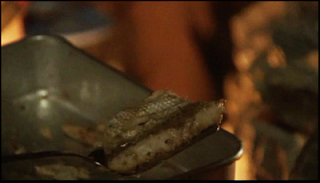 The Walking Dead Survival Cooking Blog: Vatos: Fish Fry