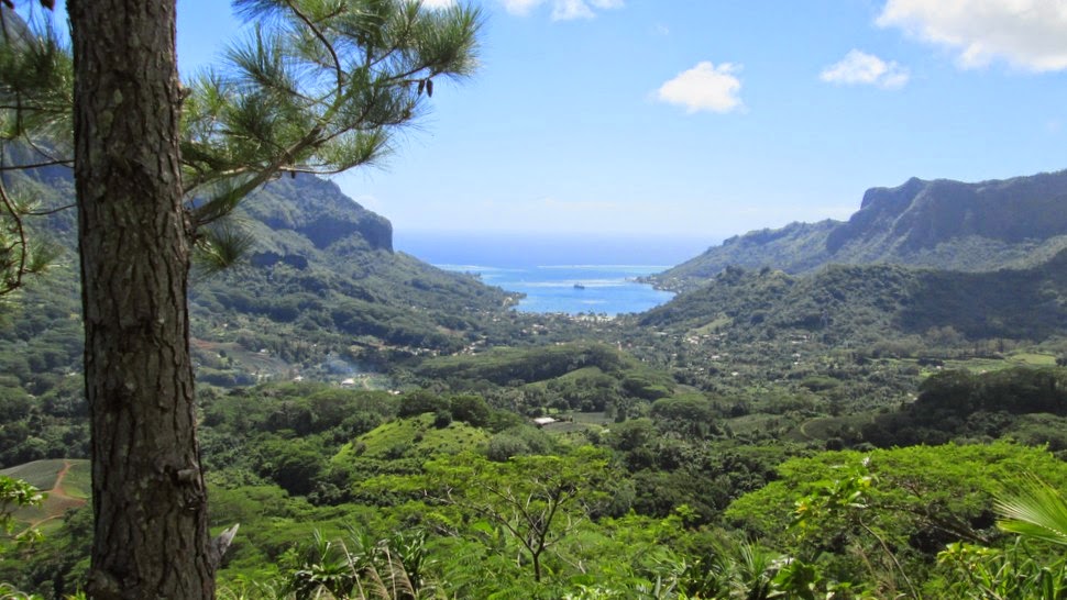 Le point de vue des Trois Pinus