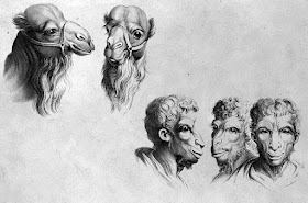 Design Stack: A Blog about Art, Design and Architecture: Animal ...