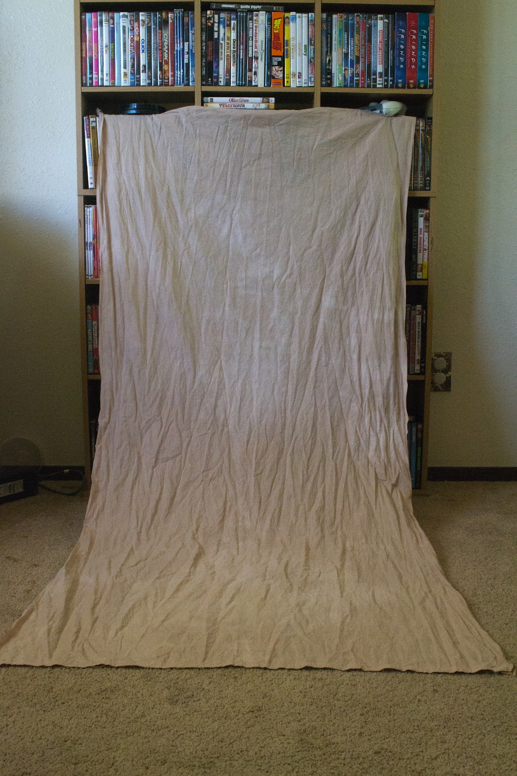 The Ninja Herself: DIY: Beginner's Photography Backdrop