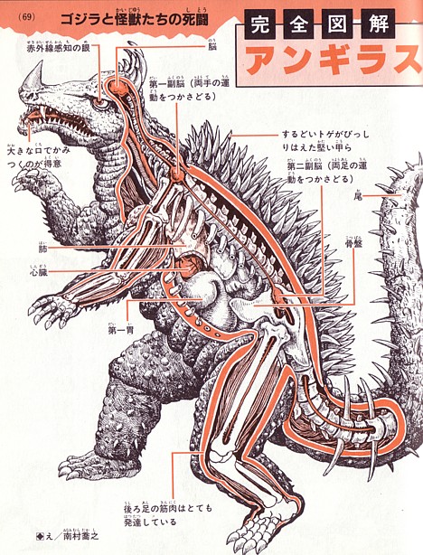 Flyer Goodness: Japanese Monster Anatomy