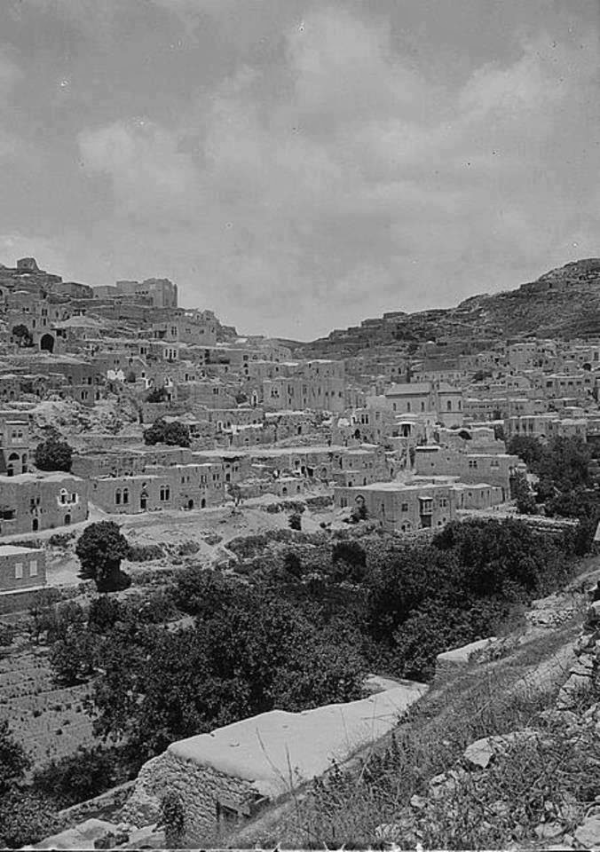 Fatima Abbadi Photography: Al Salt السلط‎ .. home town