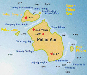 Ekosistem Kondusif Sektor Awam EKSA Zon Pulau Aur: Tentang Pulau Aur