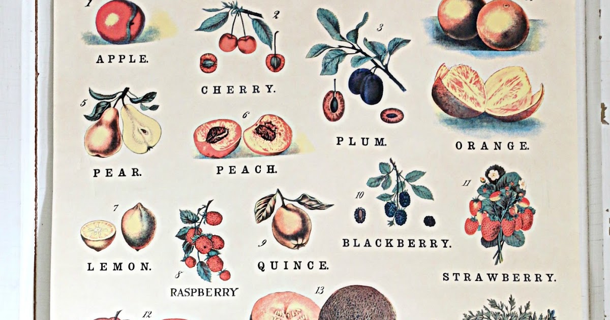 common ground : Vegging Out and Some Late Summer Colors...