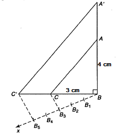 NCERT Solutions for Class 10 Maths Ch 11 Constructions