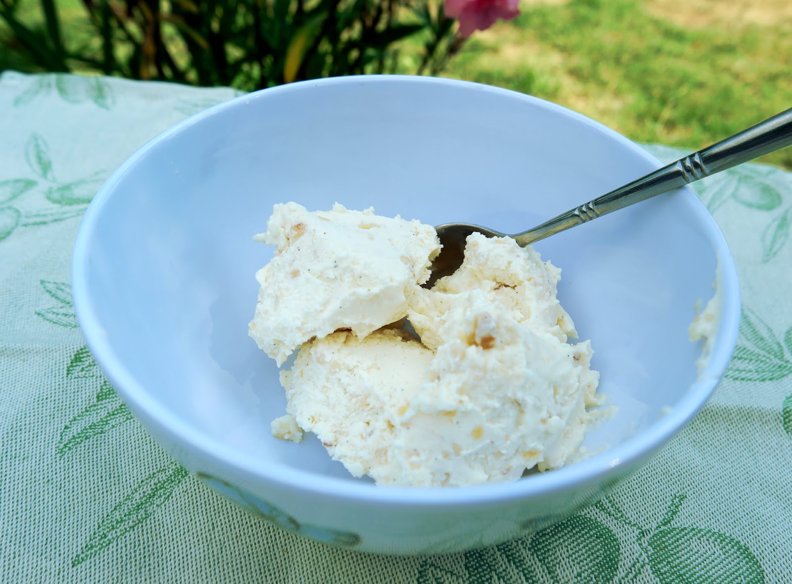 Genuss - immer & überall: Sahne-Eis mit Haselnusskrokant