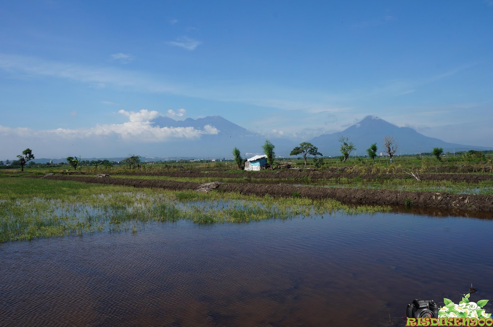 15+ Koleksi Cemerlang Pemandangan Gunung Arjuno