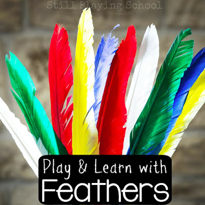 Play and Learn with Feathers | Still Playing School