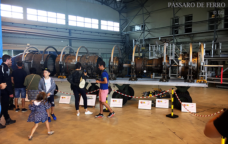 BA5 - MONTE REAL - Dia de Base Aérea aberta (M1999-59/2018) ~ PÁSSARO ...