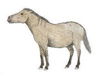 Tarpan (Equus ferus) ~ World Extinct Animals