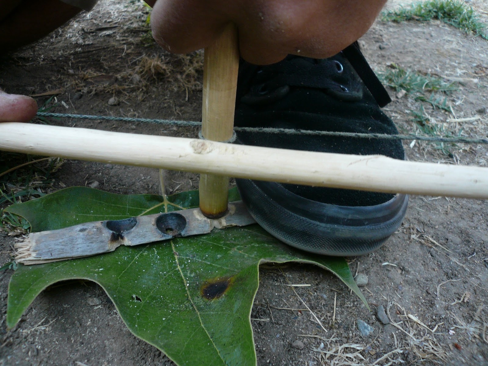 Countryman: Foraging California's Wild Side: Fire by Friction