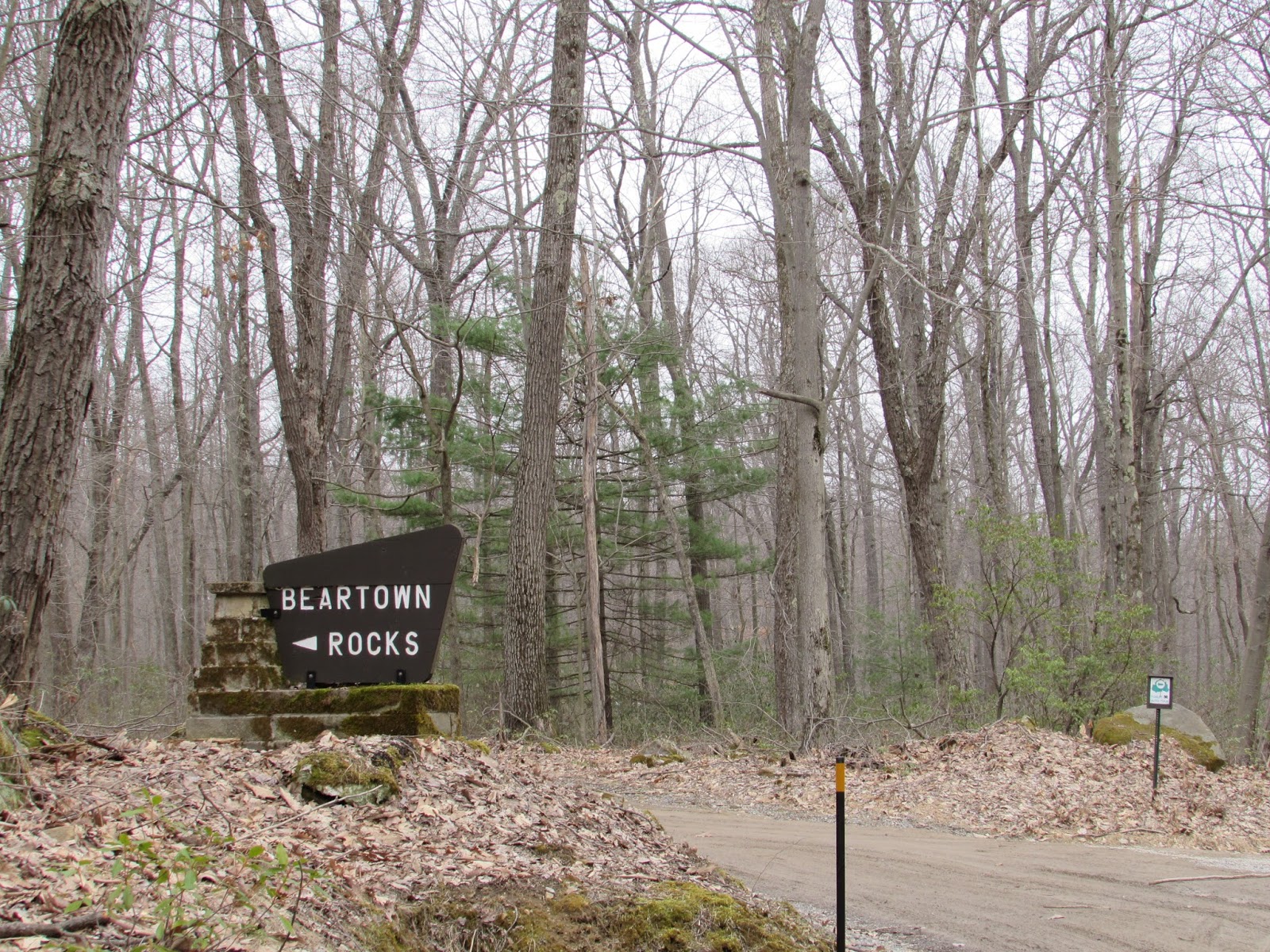 Beartown Rocks: A Rock City in Clear Creek State Forest, Jefferson ...