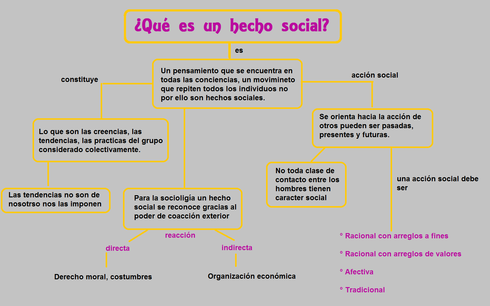 Brenda García 513: ¿Qué es un hecho social?