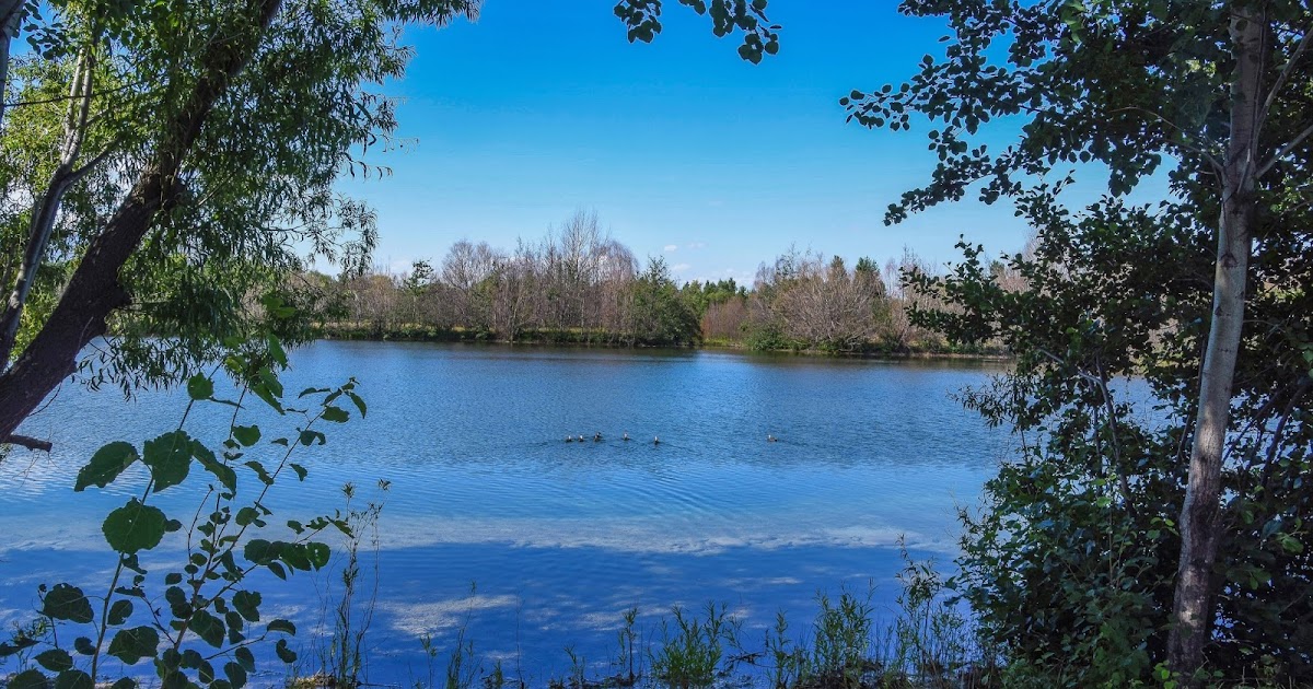 Paws Awhile: Lake Poaka