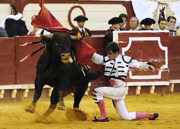 CABANO da TABAUERA: VIVA EL TORO!