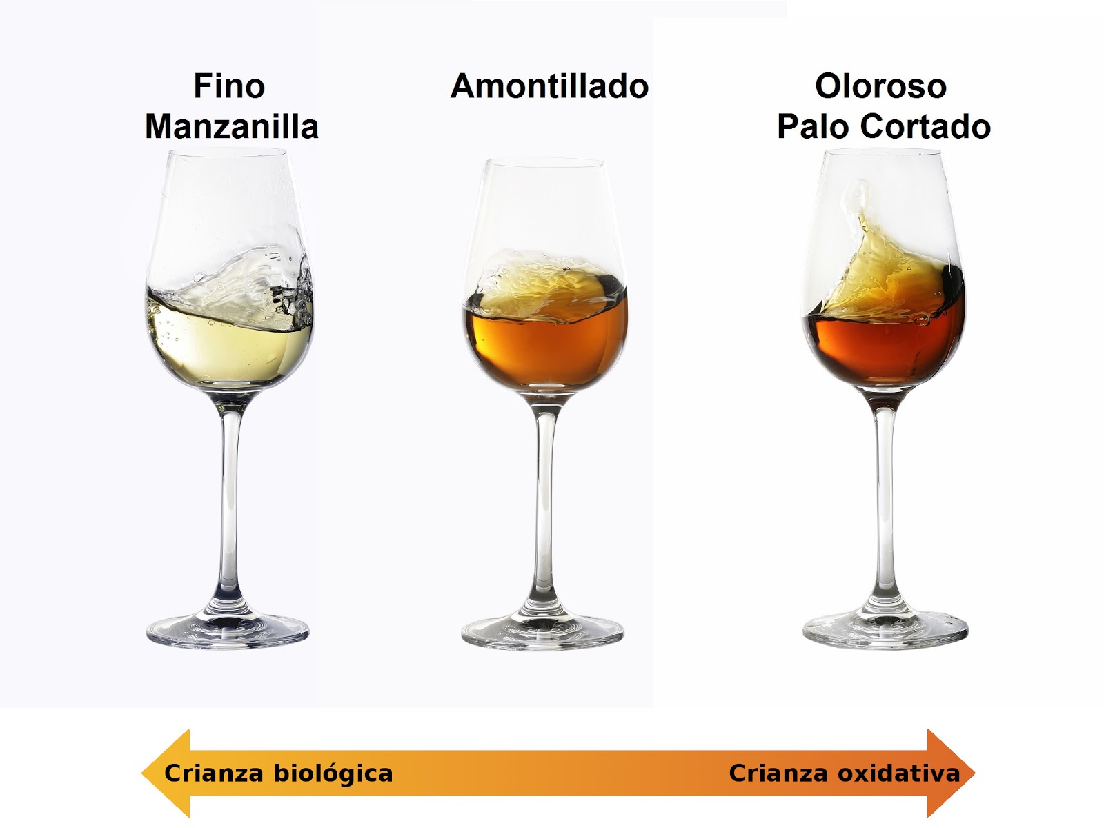 Sobre vinhos e afins: Dos vinhos de Jerez
