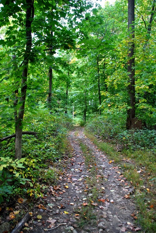 Southeastern PA Hiking: Thompson Trail