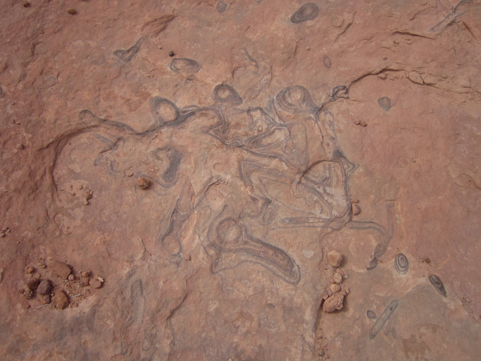 If I Were a Crow: Spring Break in Utah