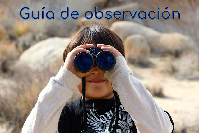 GUÍA DE OBSERVACIÓN