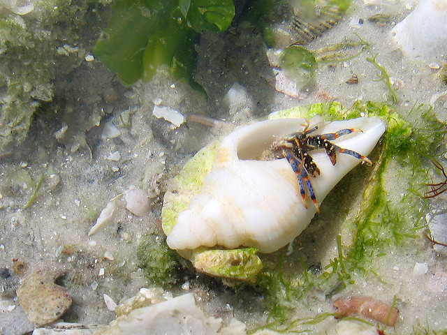 NeuroDojo: July 2013