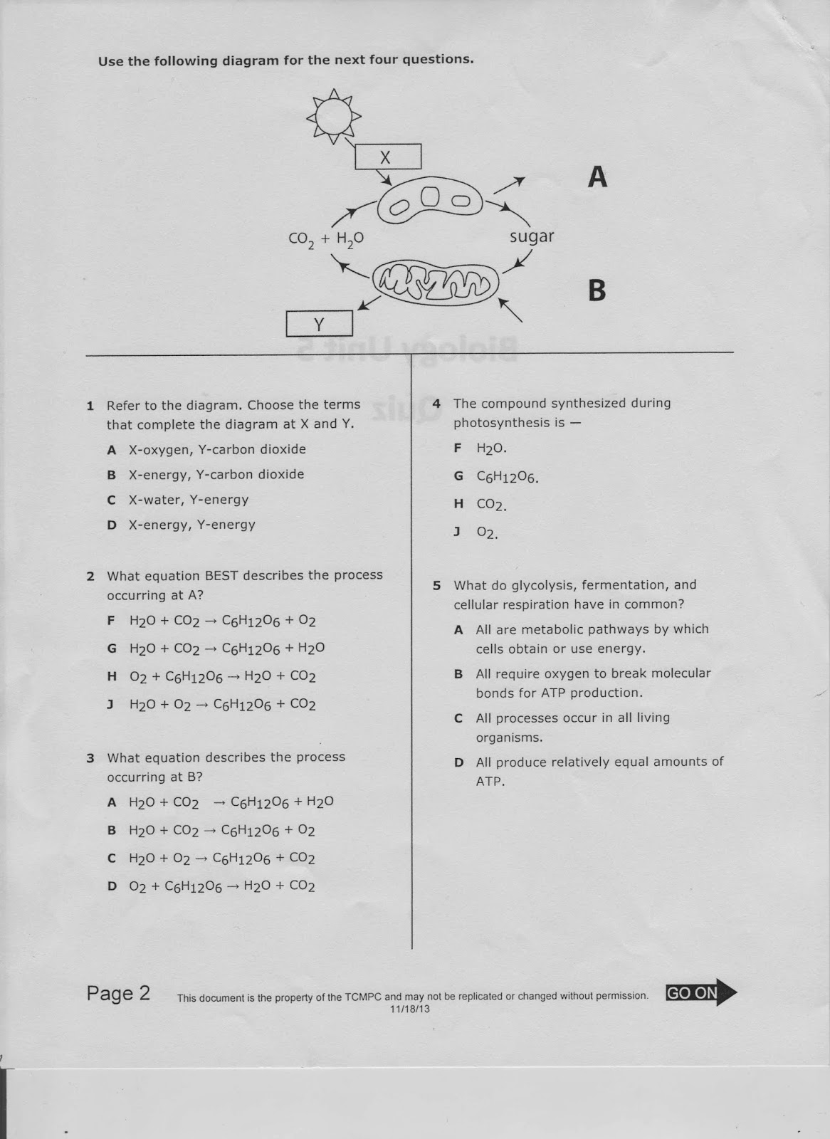 BIOLOGY WITH COACH T: Unit 5 Quiz - Photosynthesis & Cellular Respiration
