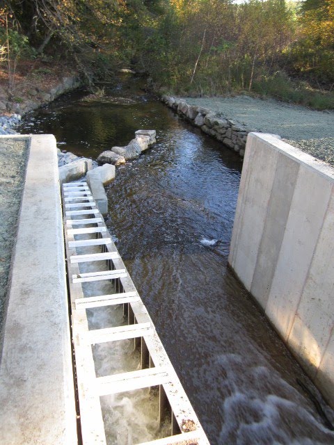Watershed Musings: Fish Ladder Tour in the Watershed