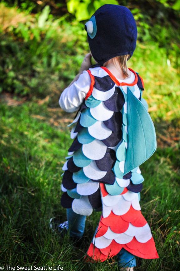 Chris and Sonja - The Sweet Seattle Life: DIY Tropical Fish CostumeTutorial