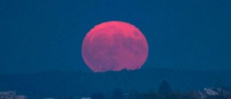 Luz das Estrelas: Conheça a história da 'Lua rosa' que iluminará o céu hoje