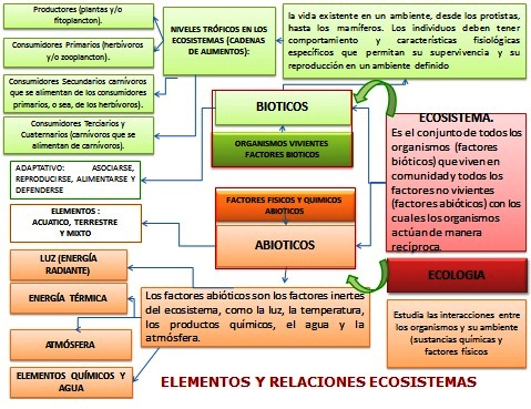 DESARROLLO SOSTENIBLE Y MEDIO AMBIENTE: LA ECOLOGIA Y EL MEDIO AMBIENTE