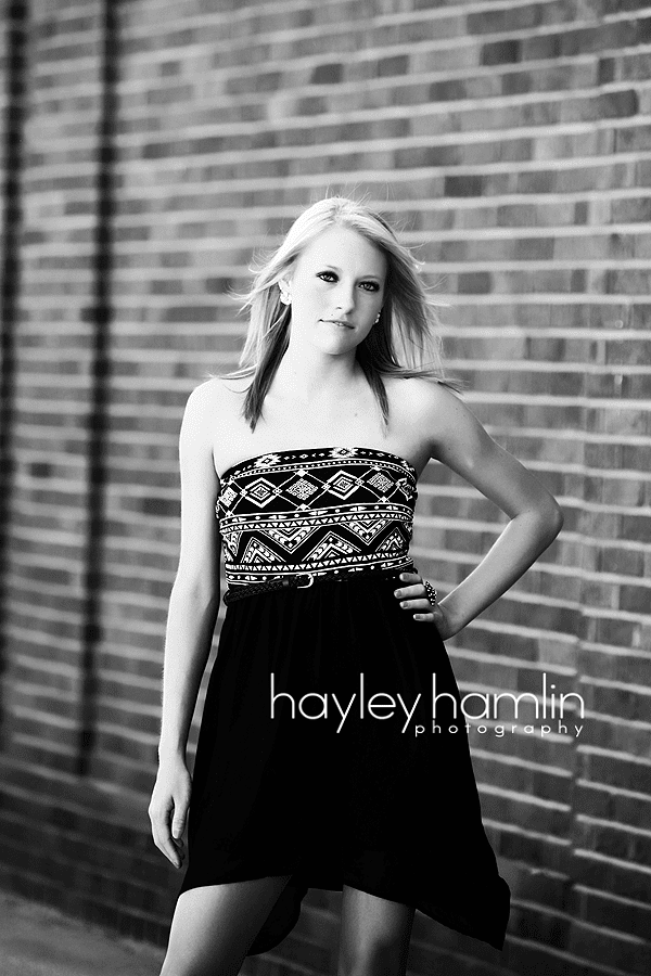 Hayley Hamlin Photography/The Blog
