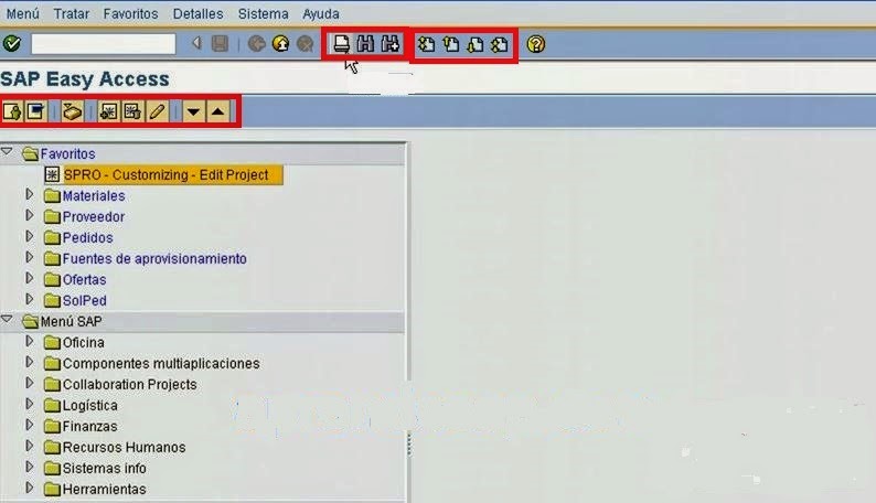 Informática fácil: SAP